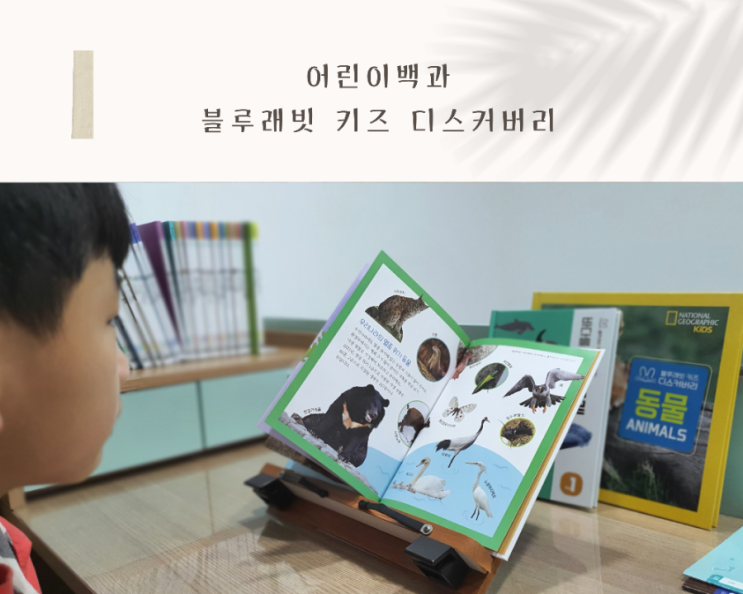 자연관찰보다 더 깊고 생생한 블루래빗 키즈 디스커버리 어린이백과 네이버 블로그