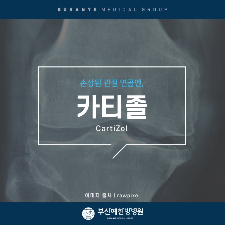 콜라겐 연골주사 카티졸 이제 부산예한방병원에서 네이버 블로그