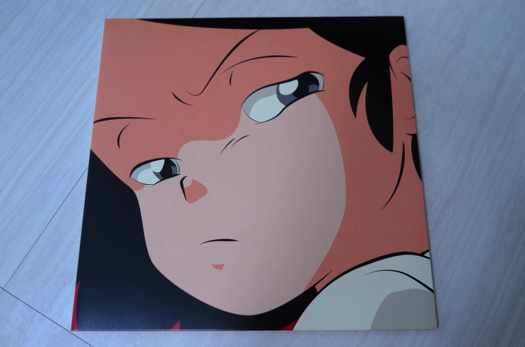 아도이 ADOY LP _ CATNIP : 네이버 블로그