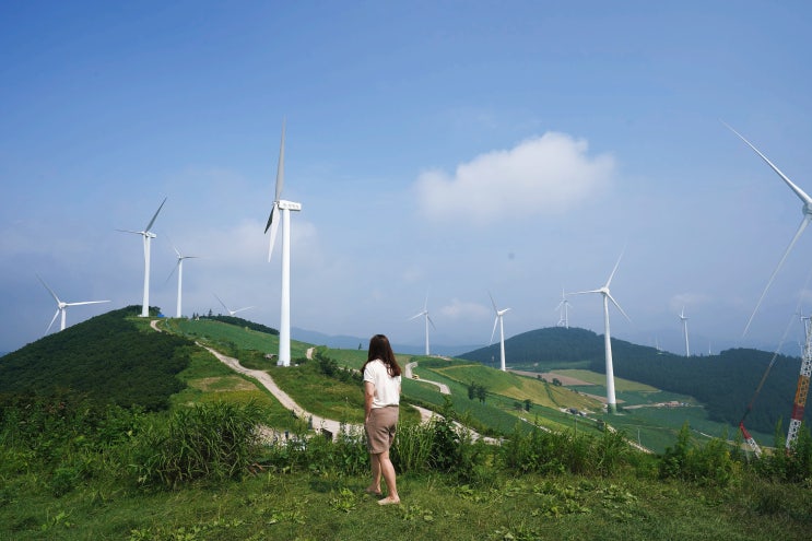 매봉산 바람의 언덕 고랭지 배추밭 전국에서 가장 시원한 도시강원도 태백 1박 2일 여행 코스~ 태백 가볼 만한 곳