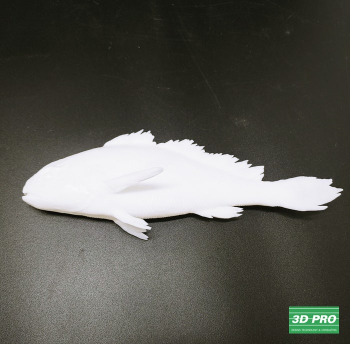 3d 프린팅 물고기 출력물 제작3d 프린터로 시제품 제작대학생 졸업작품sla 레이저 방식abs Like 레진 소재쓰리디