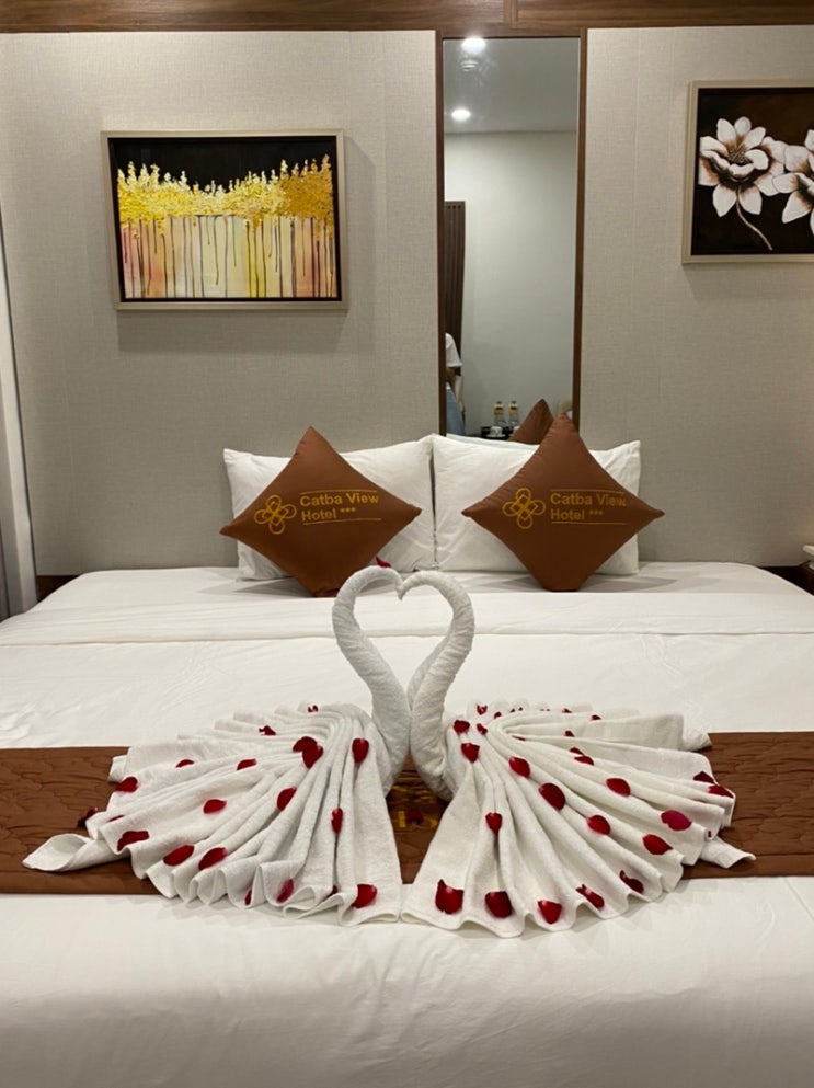 하노이하이퐁 근교여행 깟바섬 호텔 추천 깟바 뷰 호텔cat Ba View Hotel 방 컨디션 조식 깟바섬 투어