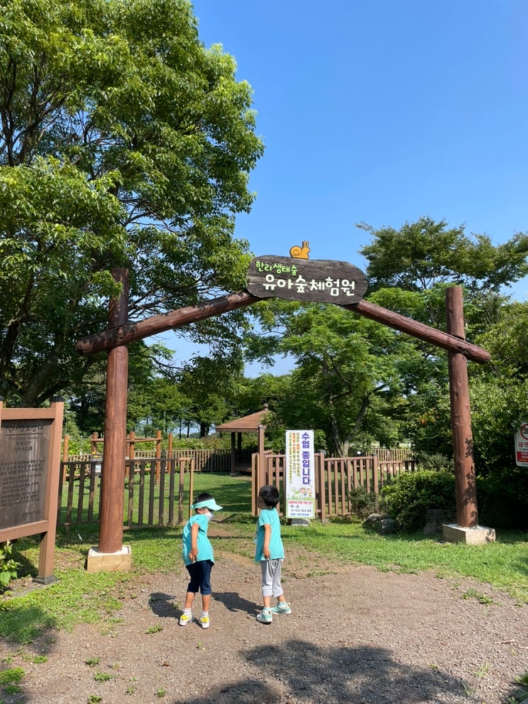 제주 한 달 살기 9일차 (한라생태숲 유아숲체험 & 노루생태관찰원) : 네이버 블로그