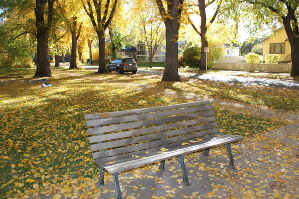 2011.09.24//[가을시 32]릴케작의 가을 날에 by Rainer Maria Rilke : 네이버 블로그