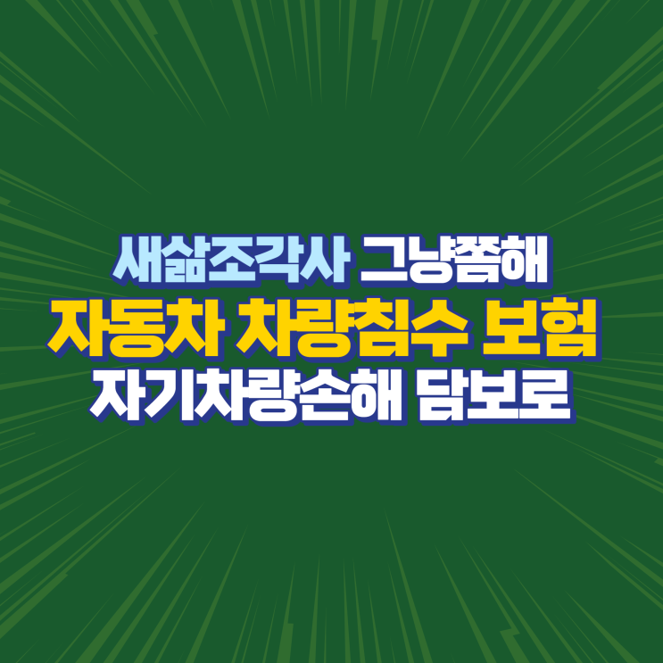 자동차 침수차량 보험 자기차량손해 담보로 받아요 네이버 블로그