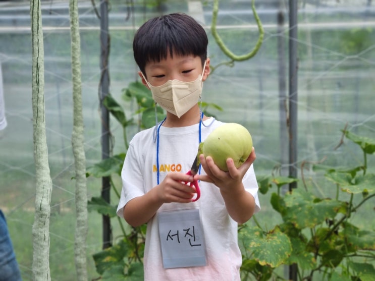 인천 아이랑 가볼만한곳 체험농장 시흥 게으른농부 먹이주기 물풍선 놀이까지 네이버 블로그