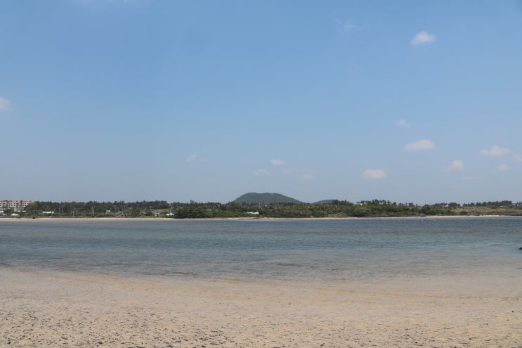 제주도 여행 표선해수욕장 물이 얕아서 아이랑 가기 좋은 해변 네이버 블로그