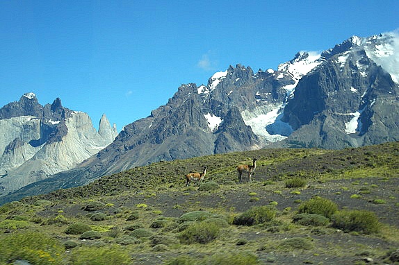 남미여행 27-1. 토레스 델 파이네 국립공원(칠레) : 네이버 블로그