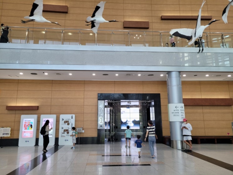 인천 가볼만 한 곳 : 국립생물자원관 생생채움 : 네이버 블로그