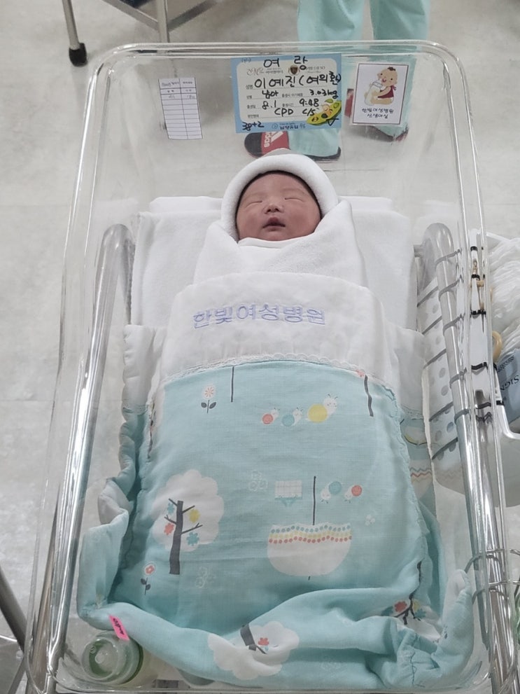 안산 한빛여성병원 제왕절개 출산 1일~3일차 초리얼후기 스압 주의 페인버스터x 출산후 몸무게 붓기 초산