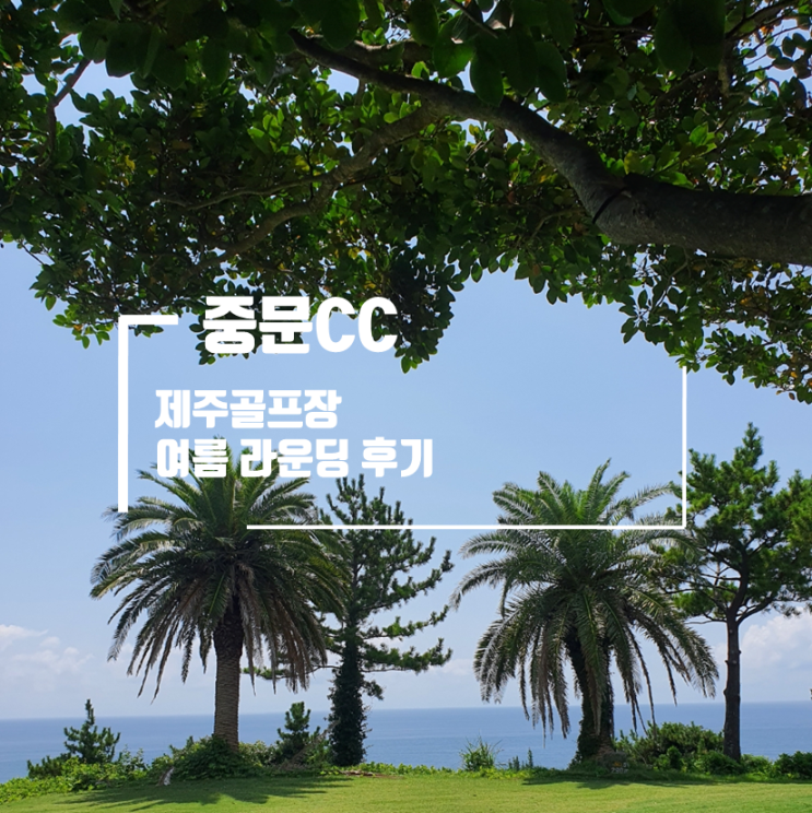 제주 골프 중문 Cc 여름 골프 라운딩 후기 실전 벙커 스윙 네이버 블로그