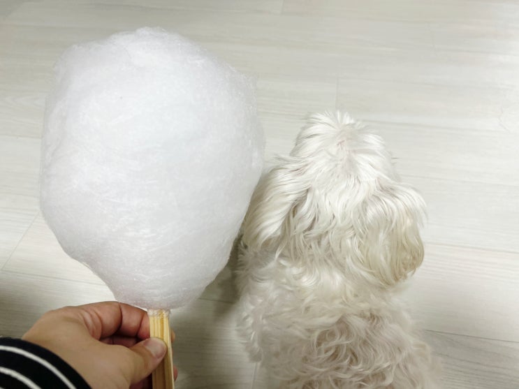 솜사탕기계 맘코니 제품으로 쉽고 간편하게 솜사탕 만들기 : 네이버 블로그