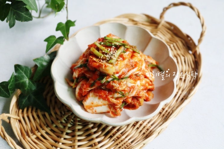 알배기 배추겉절이 만드는 법 양념 감칠맛나는 배추김치 담그기 네이버 블로그