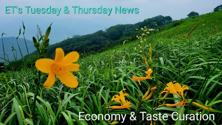 재밌는 단신 : 네이버 블로그