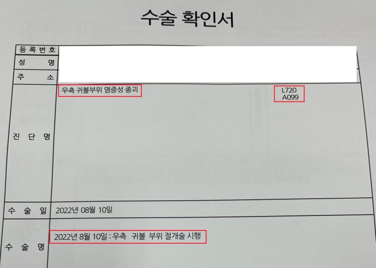 블로그 의뢰를 통해 표피낭(L72.0) 질병 수술비 지급 사례 : 네이버 블로그