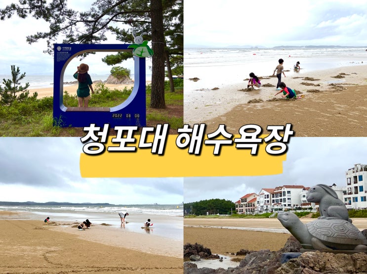 태안 청포대해수욕장 서해 갯벌체험 태안 맛조개 체험 하기 좋아 네이버 블로그