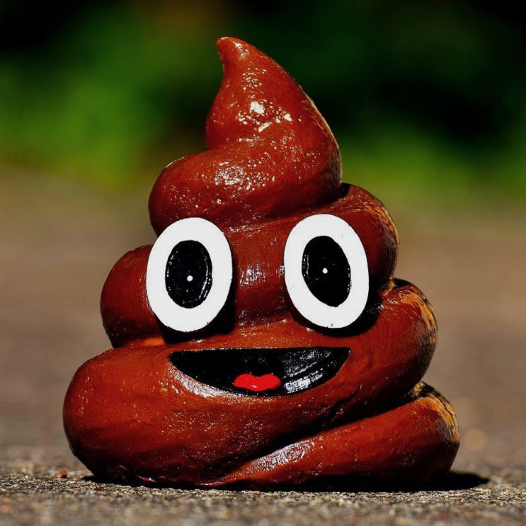 Loose Stool 과 Diarrhea 는 무엇이 다른가? : 네이버 블로그