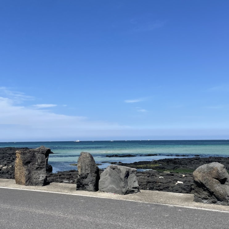 제주 해안도로 카페 리치망고 월정리 카페 : 네이버 블로그