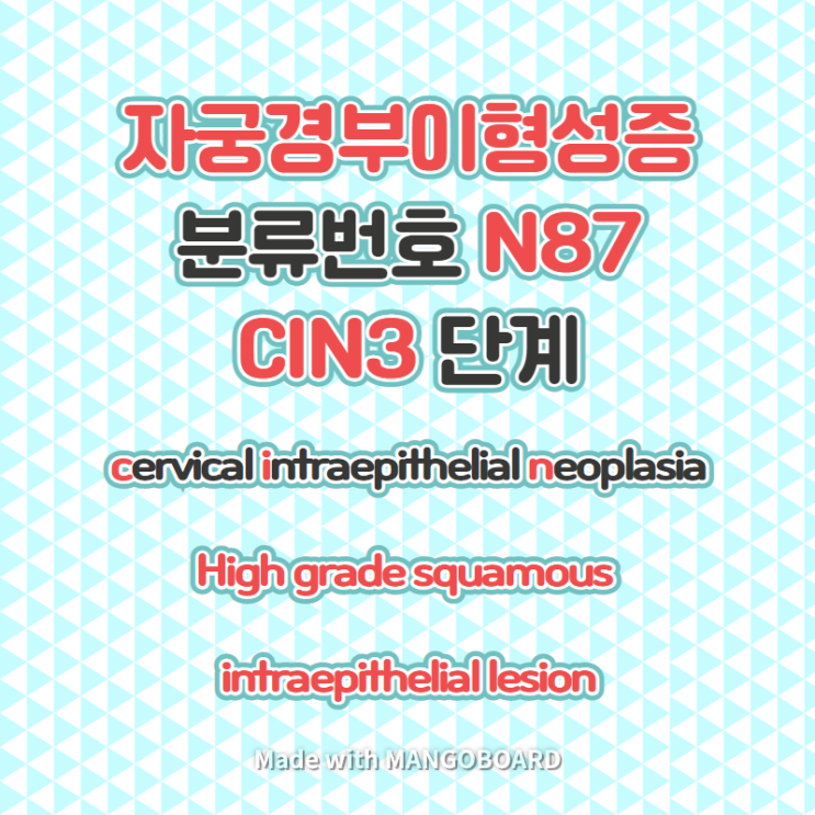 중증 자궁경부이형성 N87 및 D06 코드 암진단비 받아드려요! CIN3단계 보험금 해결! : 네이버 블로그
