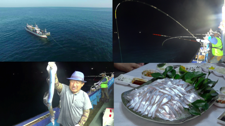 EBS1🌷 가을 바다에 돌아온 갈치와 홍어잡이 방송정보/촬영지,연락처정보 : 네이버 블로그