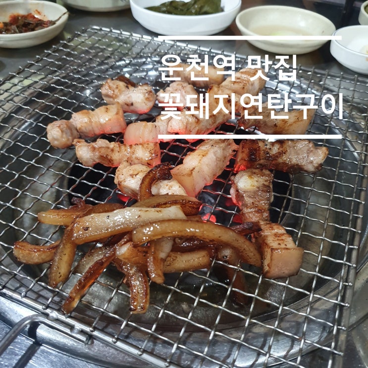 광주쌍촌동 맛집 꽃돼지연탄구이 운천역 맛집 제주도 삽겹살 네이버 블로그