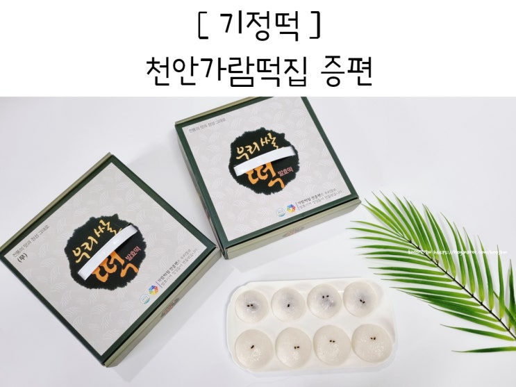 기정떡 천안가람떡집 증편 간식 떡선물로도 좋아 네이버 블로그