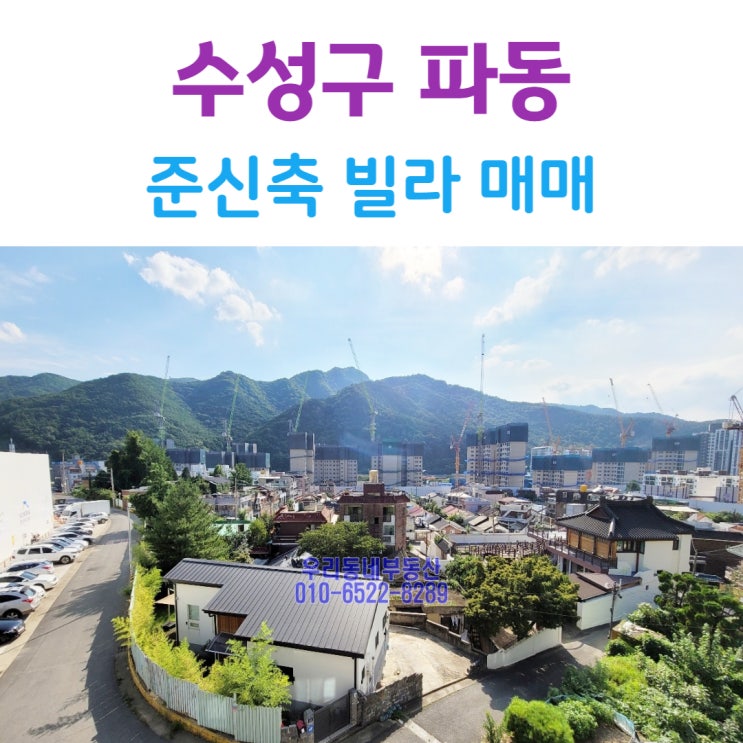 대구시 수성구 파동 준신축 빌라 매매 파동 드림힐즈 빌라 매매 파동 빌라 매매 엘리베이터 있는 빌라 매매 파동 빌라