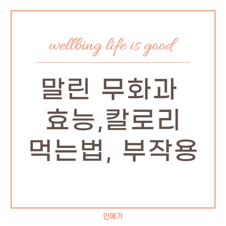 말린 무화과 효능 알아보기 칼로리 먹는법 부작용 네이버 블로그