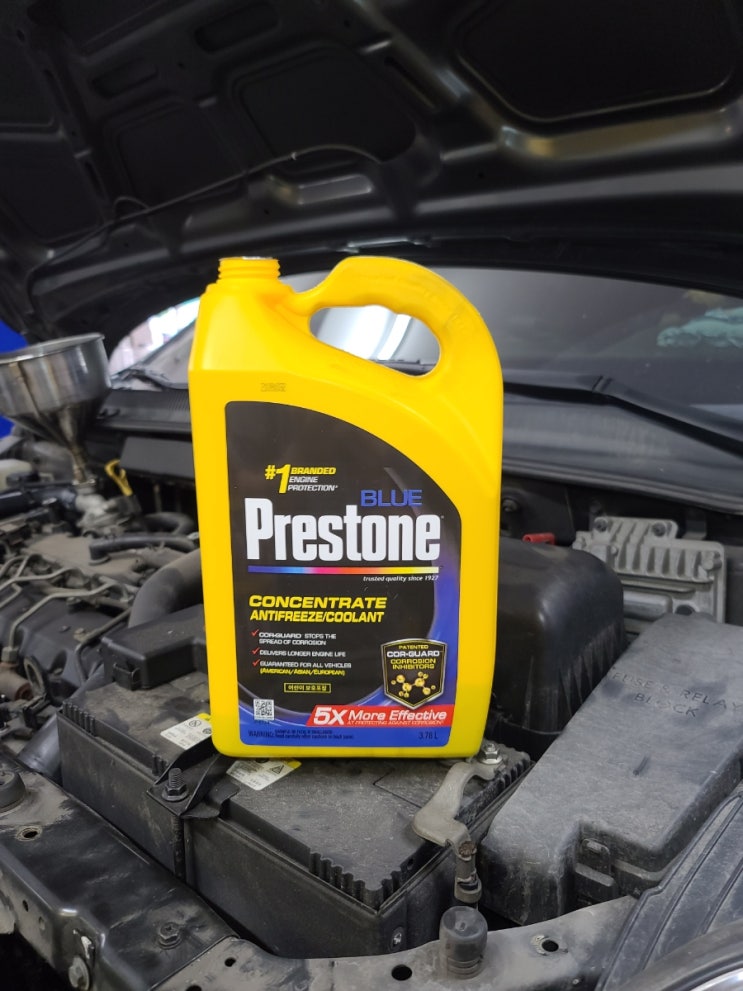 그랜드 카니발 프레스톤 prestone blue 블루 냉각수 부동액 교환 주입 ^^😁 서대문구카센터 은평구카센터 마포구카센터 ...