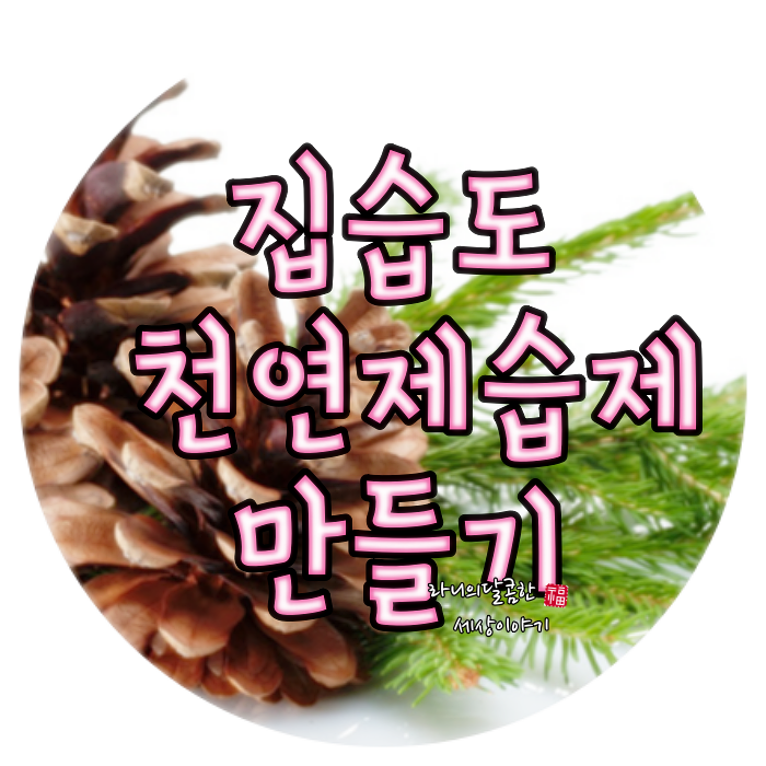 집습도 조절하는 초간단 방법 장마철 집안 습기제거 천연제습제 만들기 8가지 방법 네이버 블로그