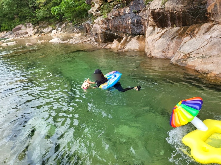 완주 동상계곡 전주 근교 평상대여 애견동반 물놀이 가능한 스토리펜션 네이버 블로그