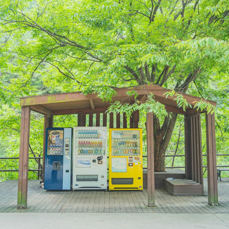 대전 계룡산국립공원 수통골 등산 코스 가벼운 산책로 네이버 블로그