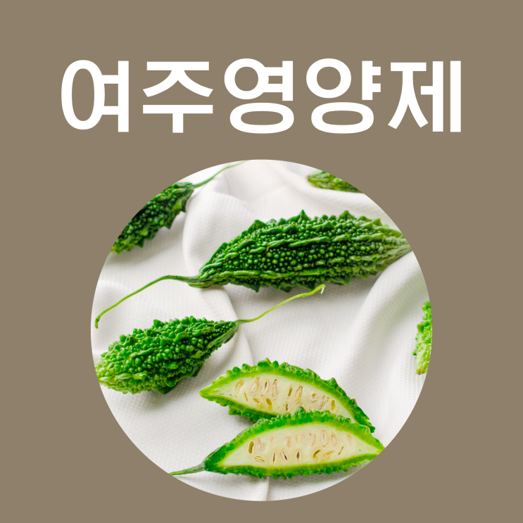 여주 효능 효과 여주즙 여주차 여주환 말린여주 가루 추천 먹는방법 당뇨 큐라에스 호랑이보감 수치로여주 숫치로 당뇨 혈당 낮추는