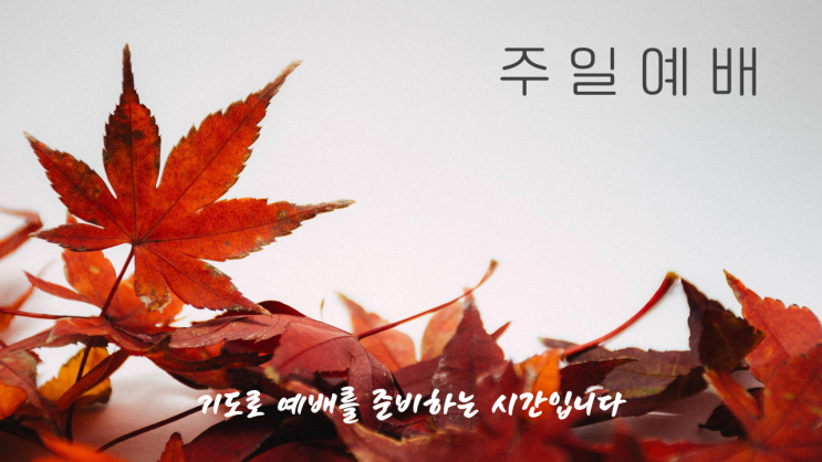 무료 템플릿 공유 예배 Ppt 템플릿 이른 가을과 자연의 느낌 네이버 블로그