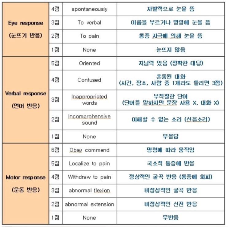 GCS / Limb Motor (사정꿀팁★★) : 네이버 블로그