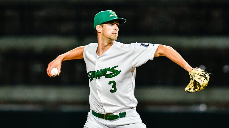 브라이언 호잉 (Bryan Hoeing)을 메이저리그로 승격시킨 마이애미 마린스 : 네이버 블로그