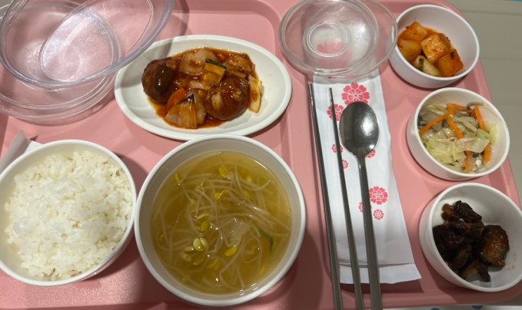 강남 차병원 자궁근종 복강경 수술후기4탄수술d2~퇴원 네이버 블로그