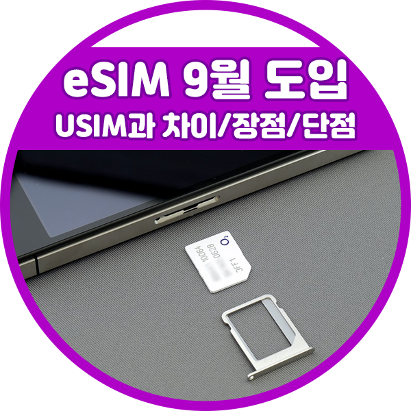 eSIM(e심) 장점 단점, USIM(유심)과 차이점, 듀얼심 장점 : 네이버 블로그
