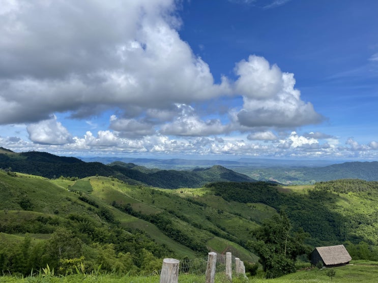 8월 9일 기록/ Akha Farm , Doichaang Coffee : 네이버 블로그