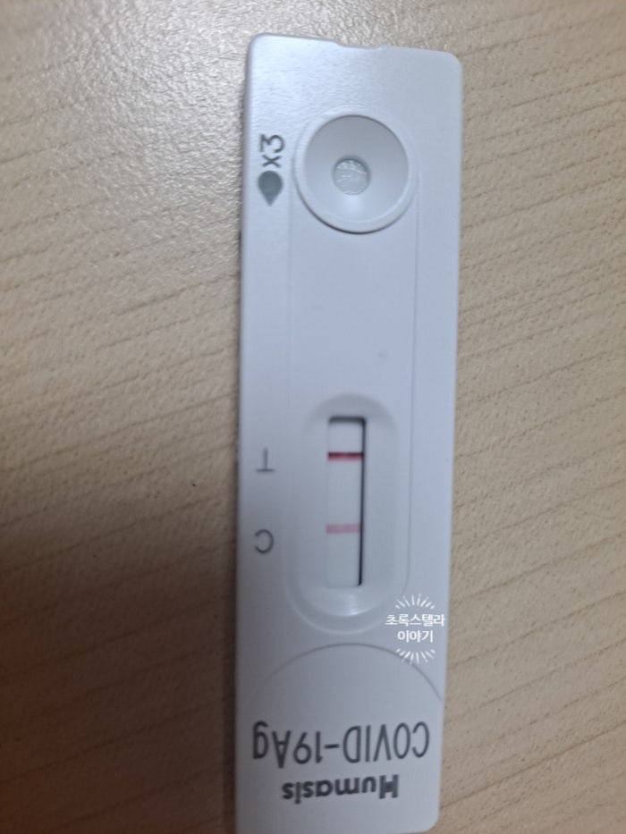 코로나 증상 두통 배탈 기침 어지러움 후각 미각 상실 계속 잠난리 네이버 블로그