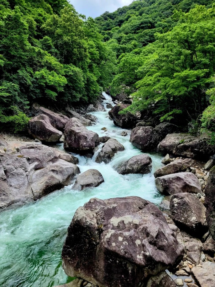 지리산국립공원 뱀사골계곡 트레킹(13km, 4시간 30분 소요) : 네이버 블로그