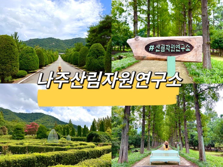 나주 산림자원연구소 수목원 광주 근교 드라이브 나주 여행 가볼만한곳 네이버 블로그