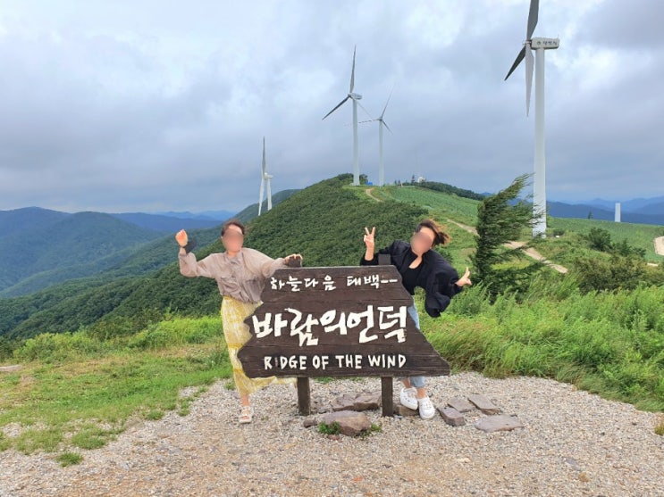 강원도 태백 매봉산 바람의 언덕 풍력발전기와 고랭지 배추밭 네이버 블로그