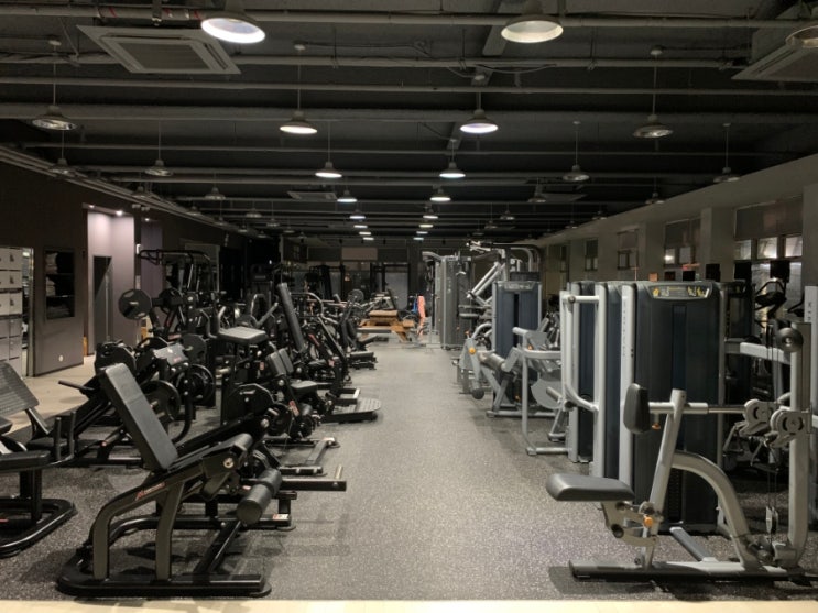 제주헬스 제주pt 제주피티 외도동헬스 외도동피티 외도동pt 바디챌린저 네이버 블로그