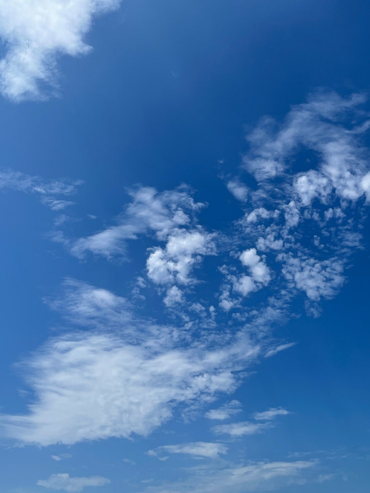 현쪼미 주간 일기 챌린지 : 8/15~8/21기록 : 네이버 블로그