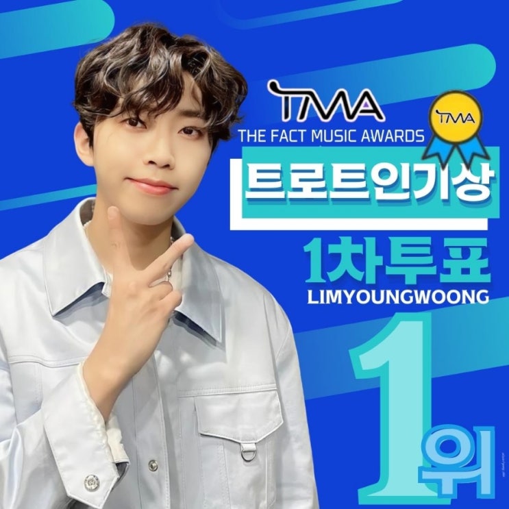 임영웅 2022 TMA 트로트인기상 1차 투표 1위 축하합니다 : 네이버 블로그