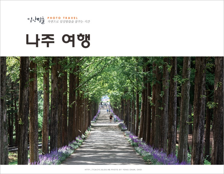 8월 여행지 나주 힐링 여행 전라남도 산림자원연구소 여름 국내 여행지 추천 네이버 블로그