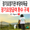장기요양기관 부당이득금 환수장기요양급여 환수 처분 구제 방법 네이버 블로그