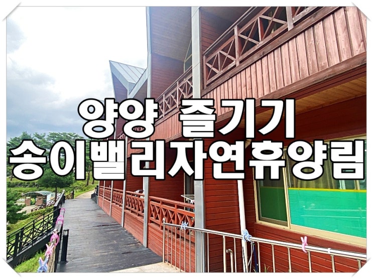 양양 중심가에 위치한 송이밸리휴양림 접근성 좋아요 네이버 블로그