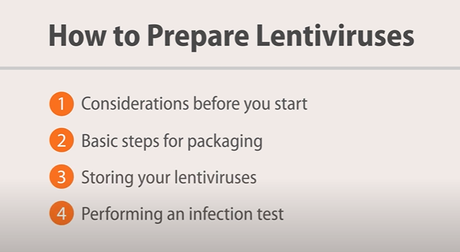 Lentivirus 공부를 해보아요 ② : The Basics of Lentivirus Production/Packaging ...